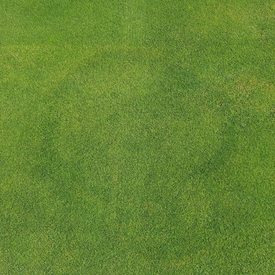 Plant Diseases & Fungi Finder | StrataGreen