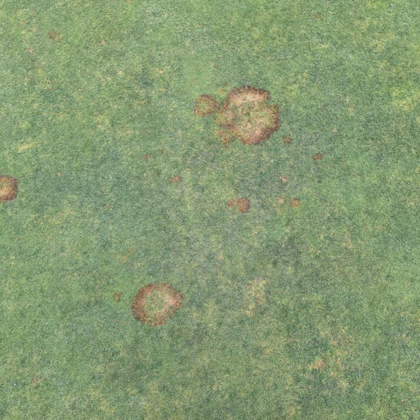 Fusarium – StrataGreen