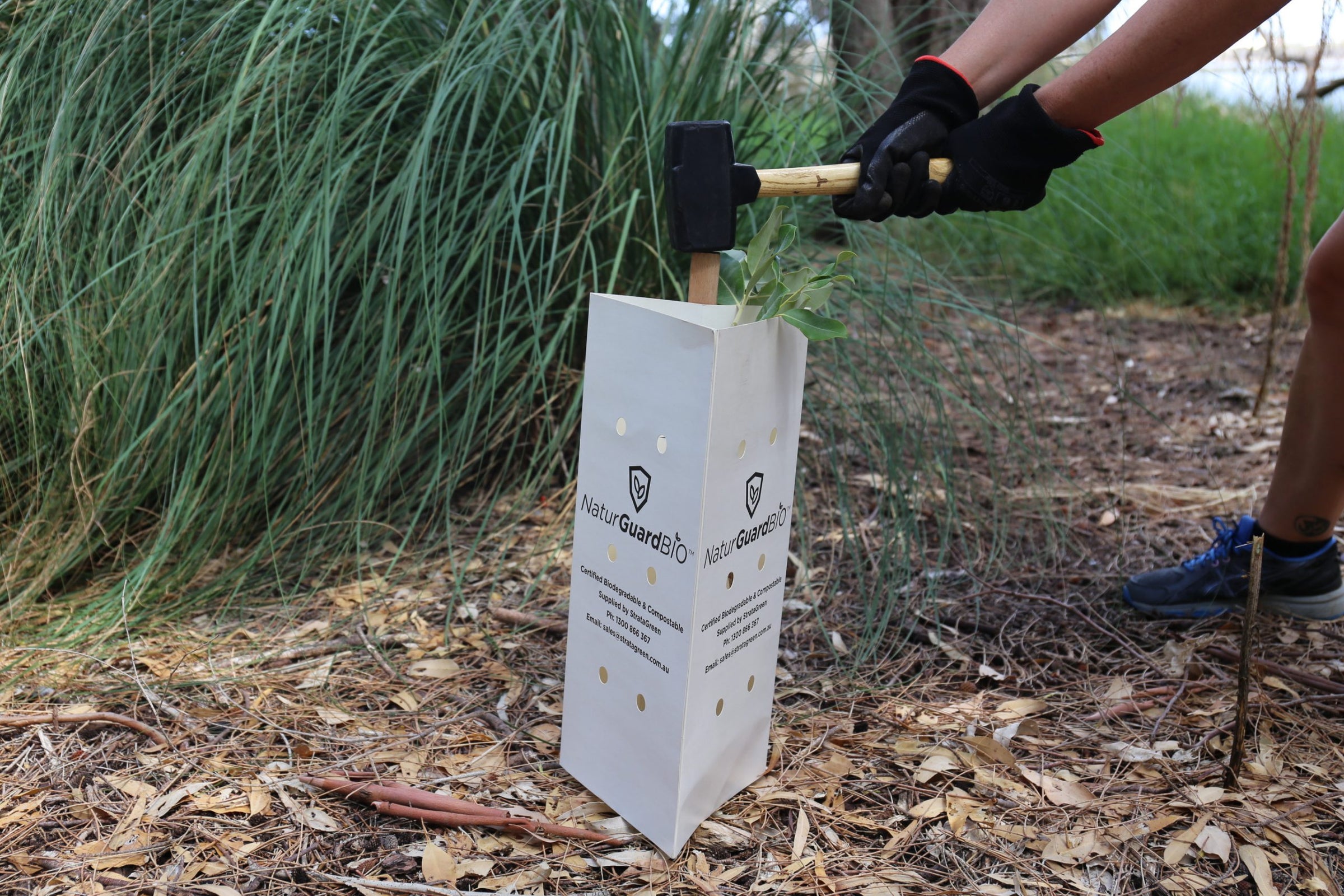 Biodegradable tree guards for a healthier environment – StrataGreen