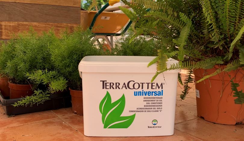 How to make your plants grow faster – StrataGreen