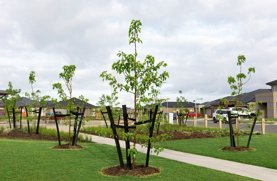Tree Coach - Growing healthier trees – StrataGreen