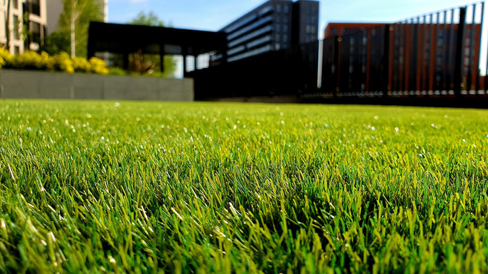 Spring Lawn Care Checklist: From Weeds to Watering – StrataGreen