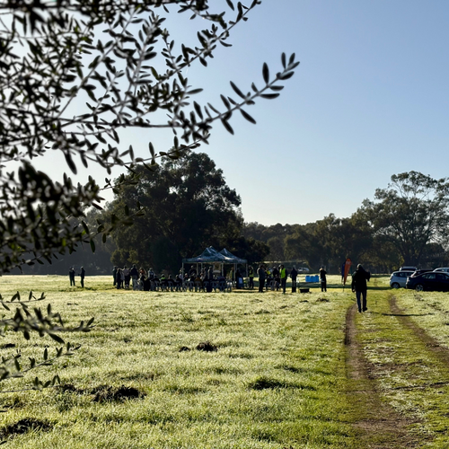 Growing Together: StrataGreen Joins Trillion Trees for a Day of Planti