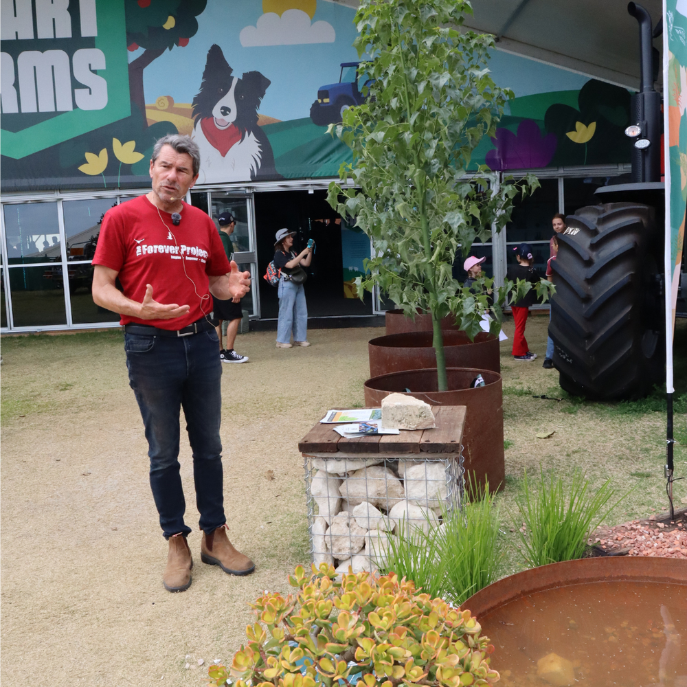 Building a Firewise Future – StrataGreen