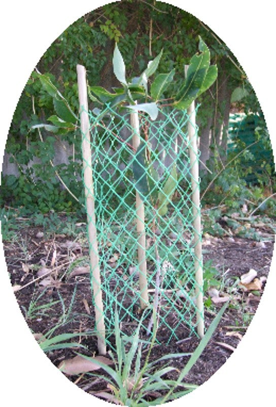 Mesh Sapling Guard – StrataGreen