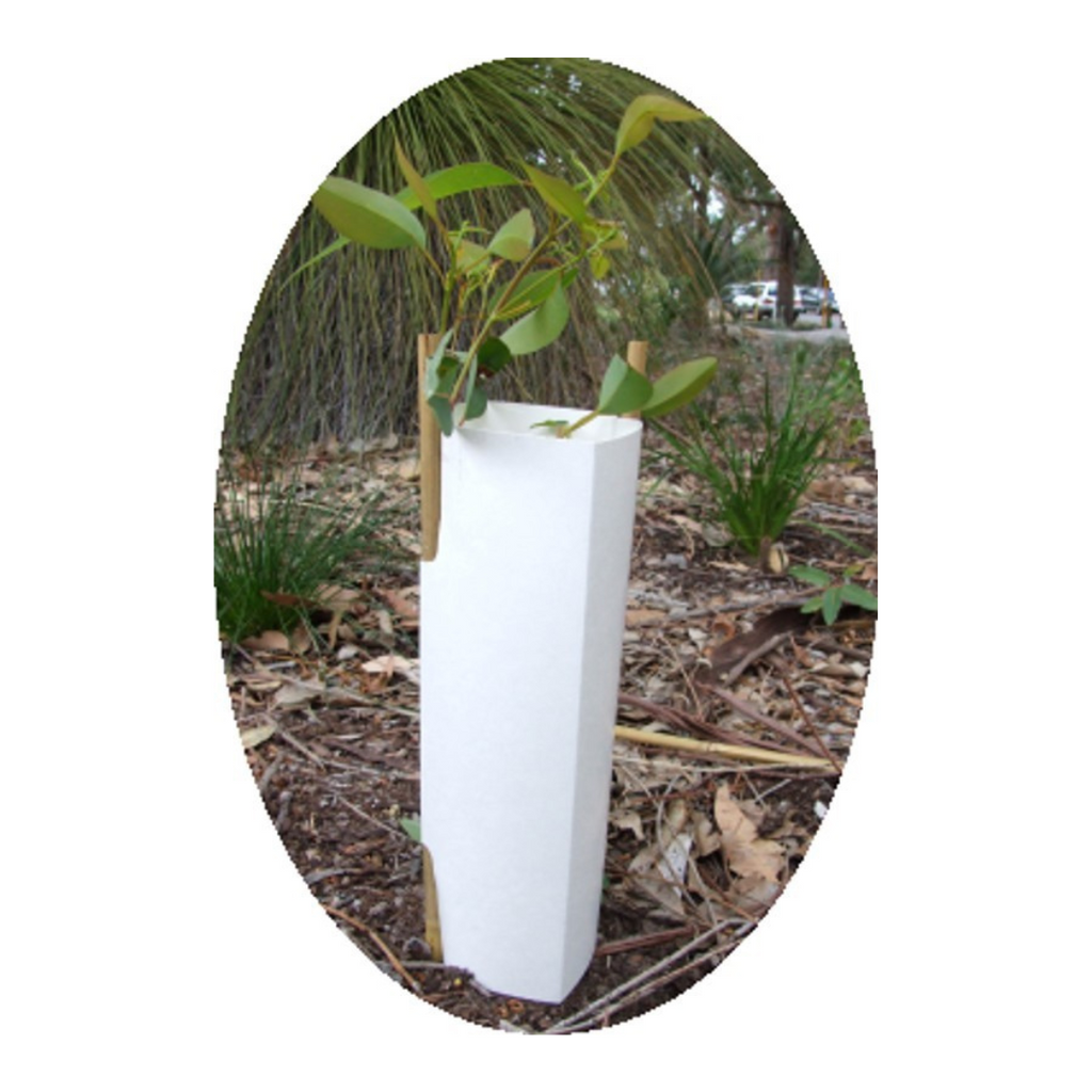 Carton Treeguards – StrataGreen