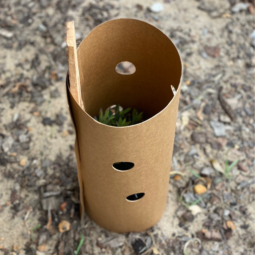 GREENGUARD-360 Round Tree Guard, 50/pack – StrataGreen