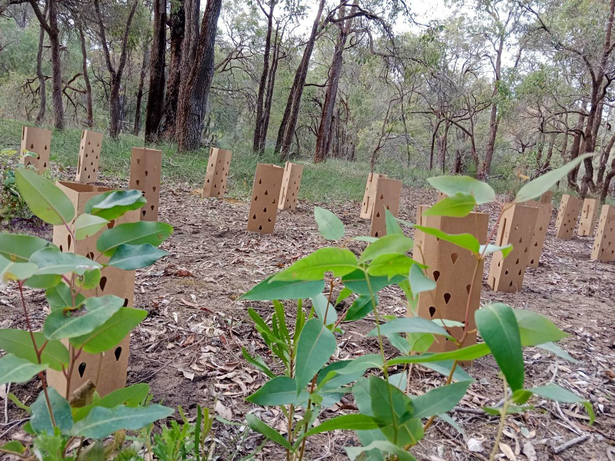 GREENGUARD – StrataGreen